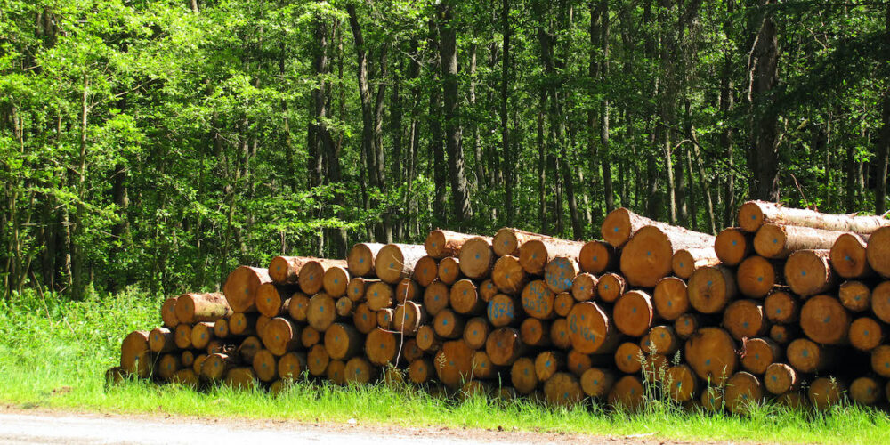 Startseite - Constantia Forst - Weiherhof